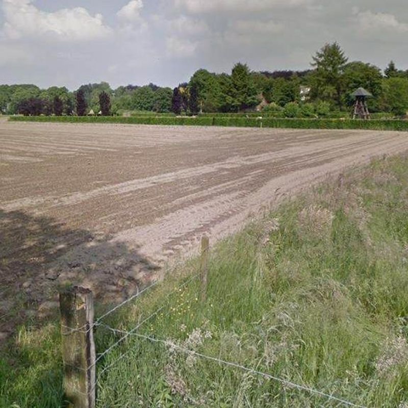 Plannen voor nieuwe woningen aan de rand van Wehl - Omroep Gelderland