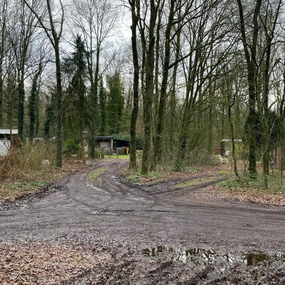 Slepend conflict over bungalowpark Schoonoord zit muurvast - RTV Drenthe