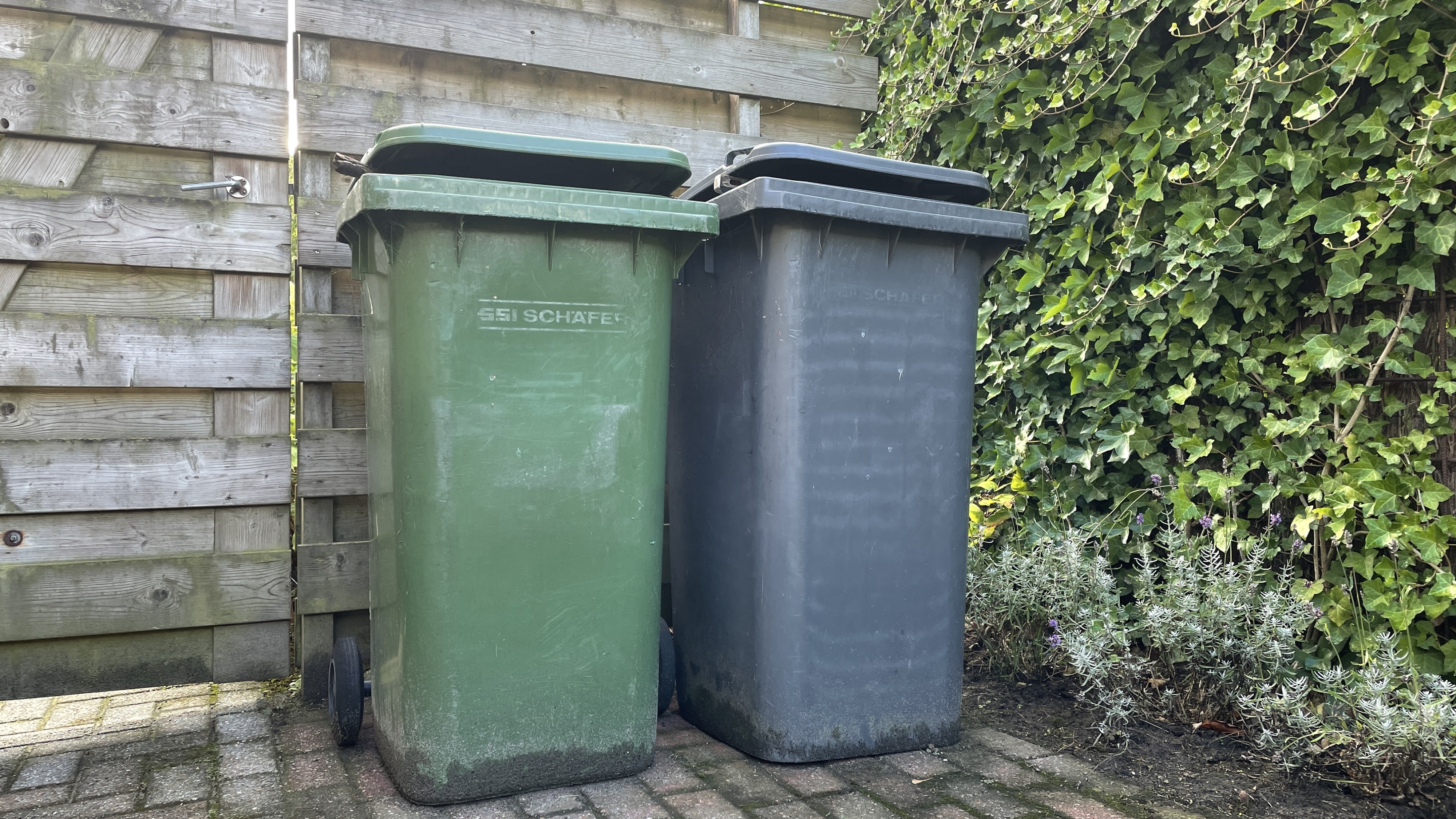 Leging groene containers in Assen terug naar 'standje winter' - RTV Drenthe