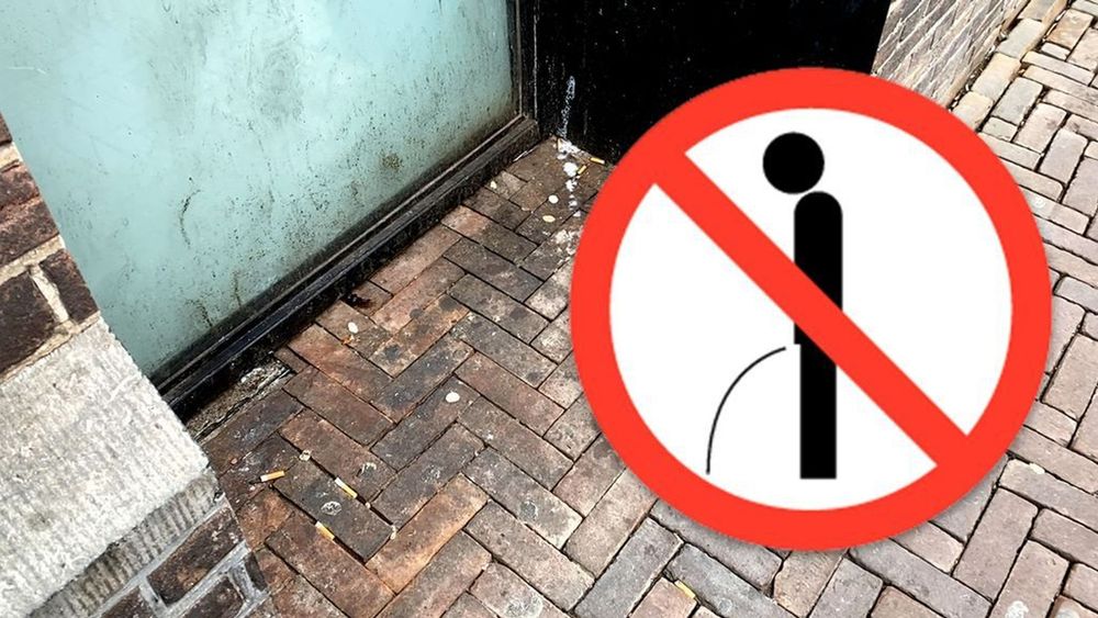 Wildplassen loopt weer de spuigaten uit - Omroep Gelderland