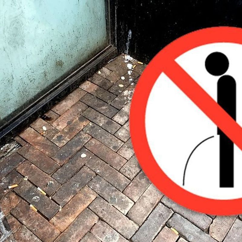 Wildplassen loopt weer de spuigaten uit - Omroep Gelderland