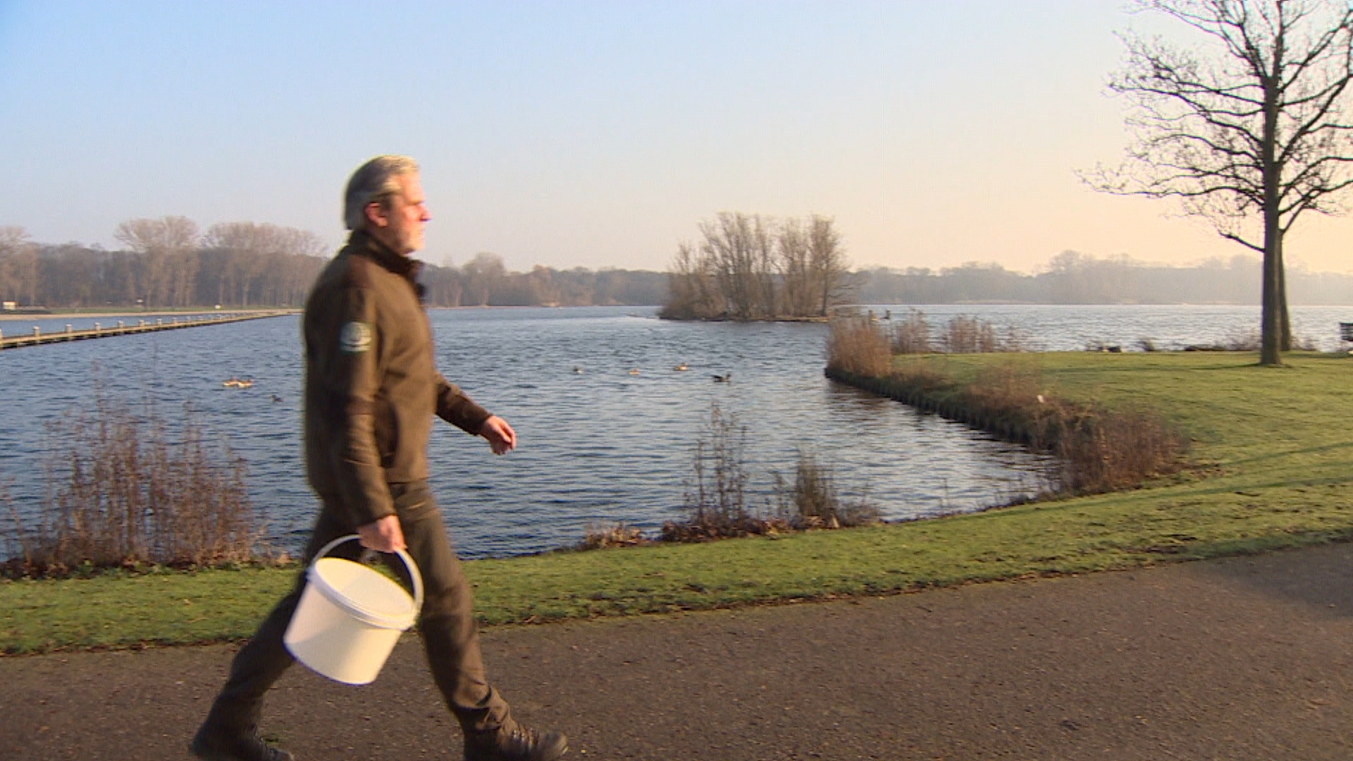 Eieren rapen om ganzenoverlast te voorkomen: 'Beetje onprettig als je ...