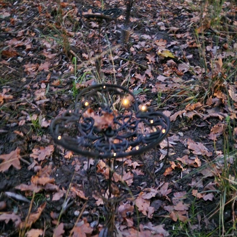 Rotterdam heeft primeur: licht opgewekt door plantjes - Rijnmond