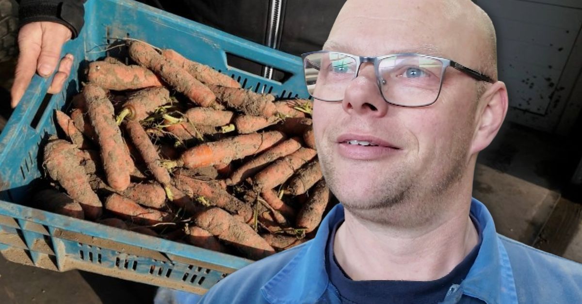 Ut it hiele lân komme minsken om Bram syn woartels te keapjen: Oos ...