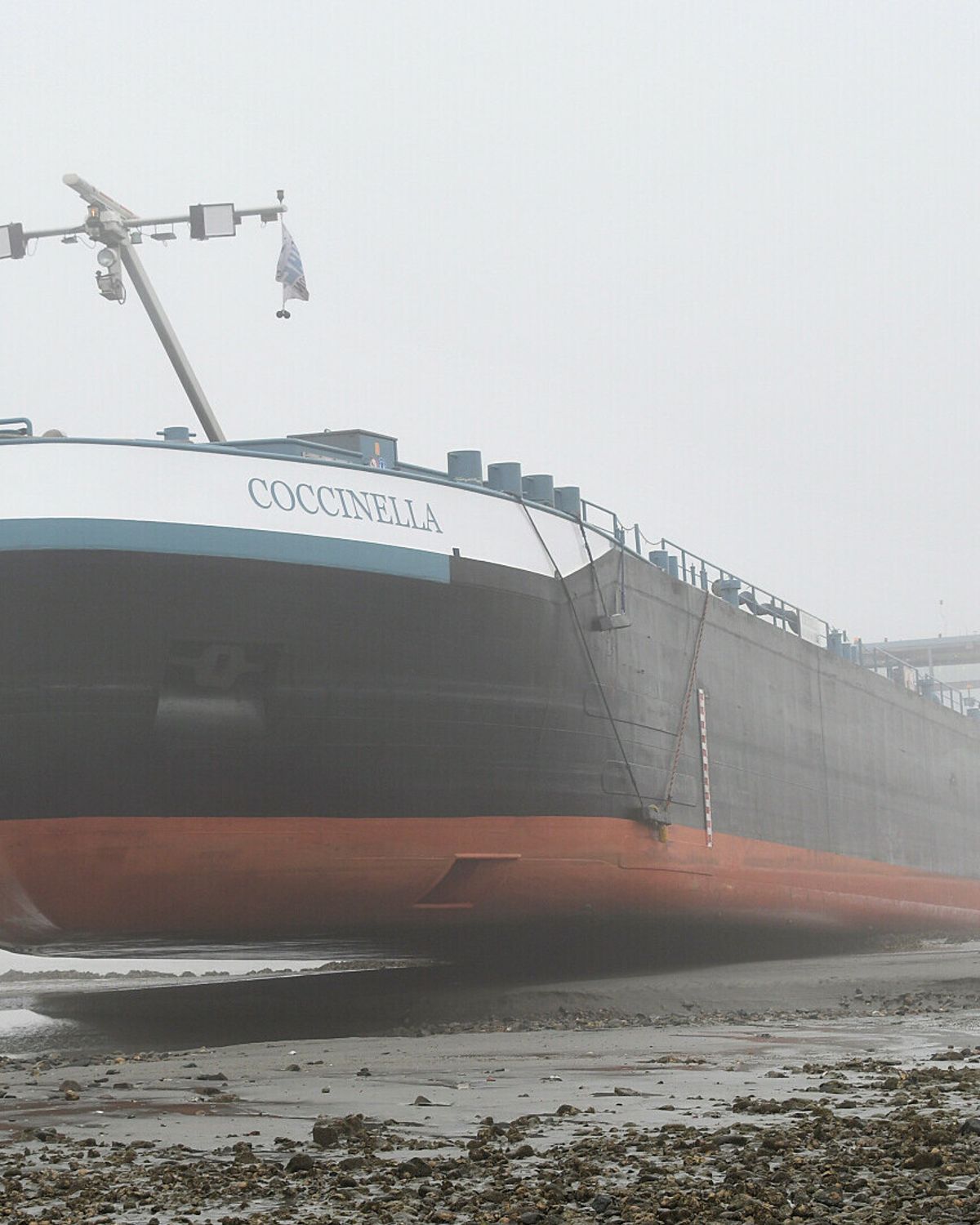 Schip loopt vast op Westerschelde bij Terneuzen: 'Spectaculair om te ...