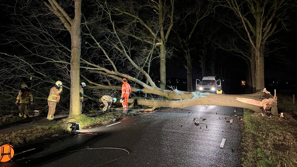 112 Nieuws: Auto botst tegen omgewaaide boom Staphorst | 100 stormmeldingen voor Brandweer ...