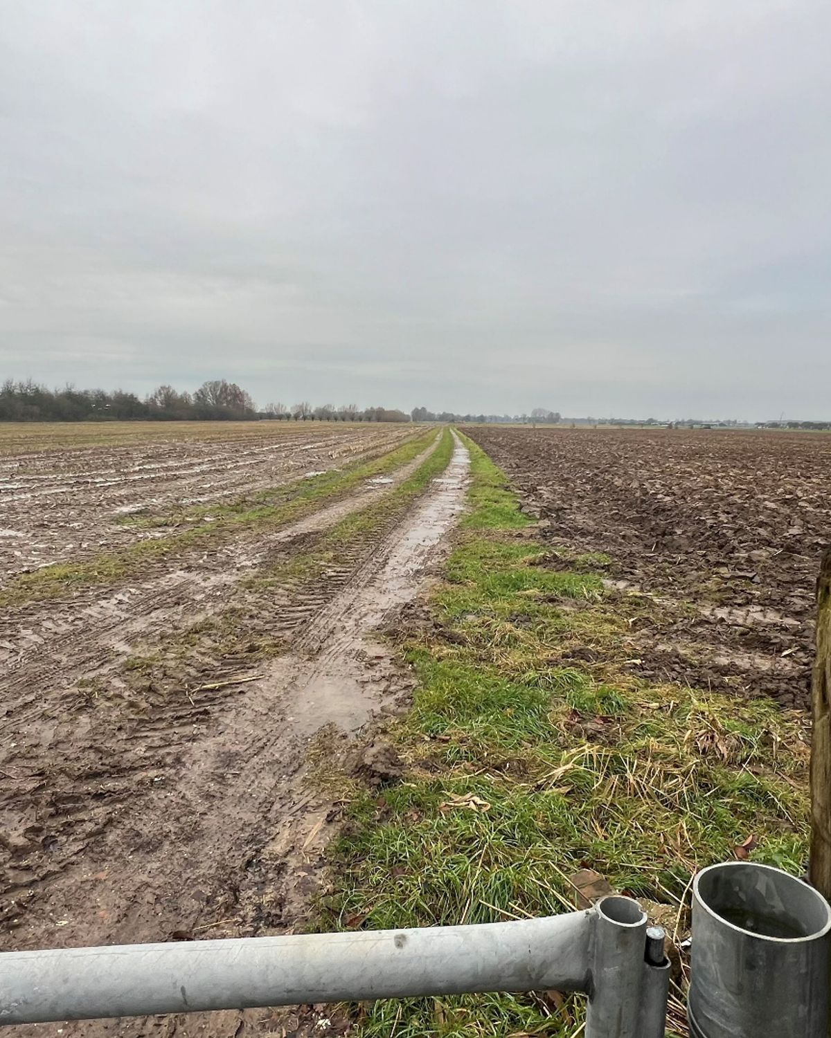 Bunnik krijgt definitief 1200 nieuwe woningen: 'Groene wijk met dorps ...