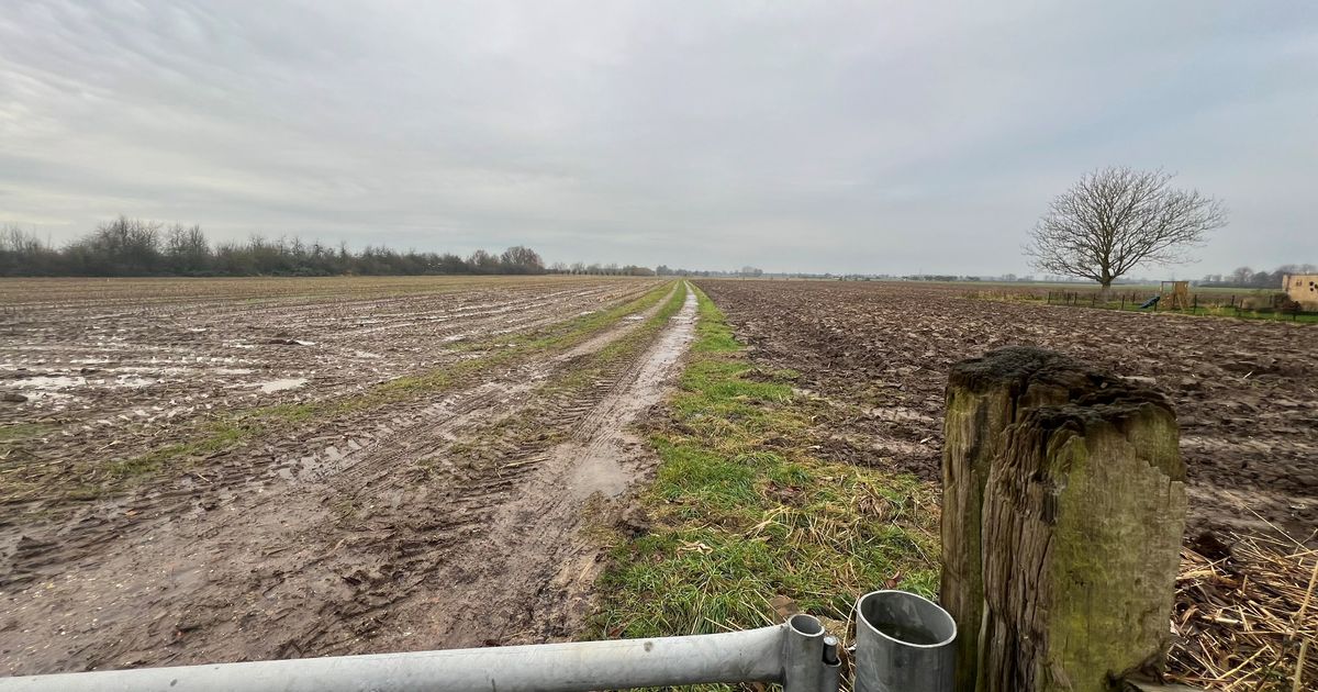 Bunnik krijgt definitief 1200 nieuwe woningen: 'Groene wijk met dorps ...