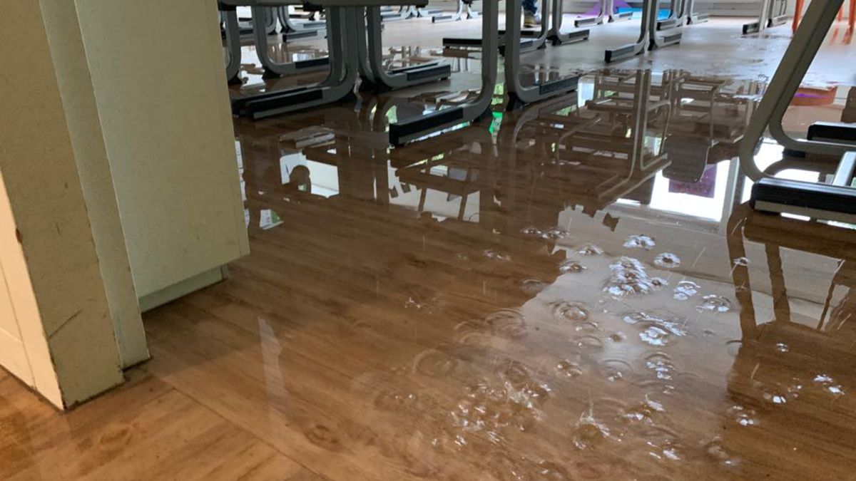 Dag na wateroverlast: 50 mm regen in één uur - L1 Nieuws