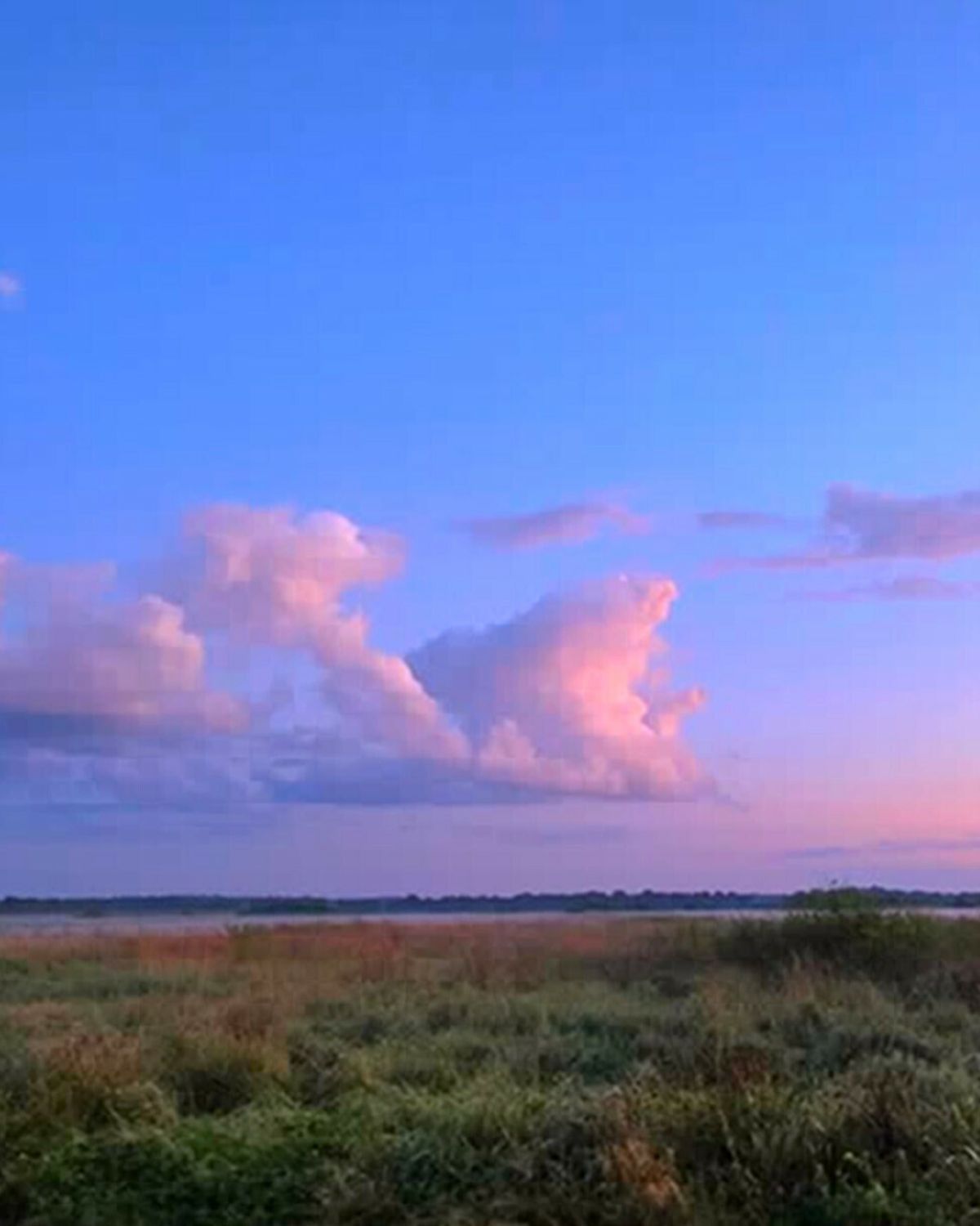 Op een roze wolk in Langelo - RTV Drenthe