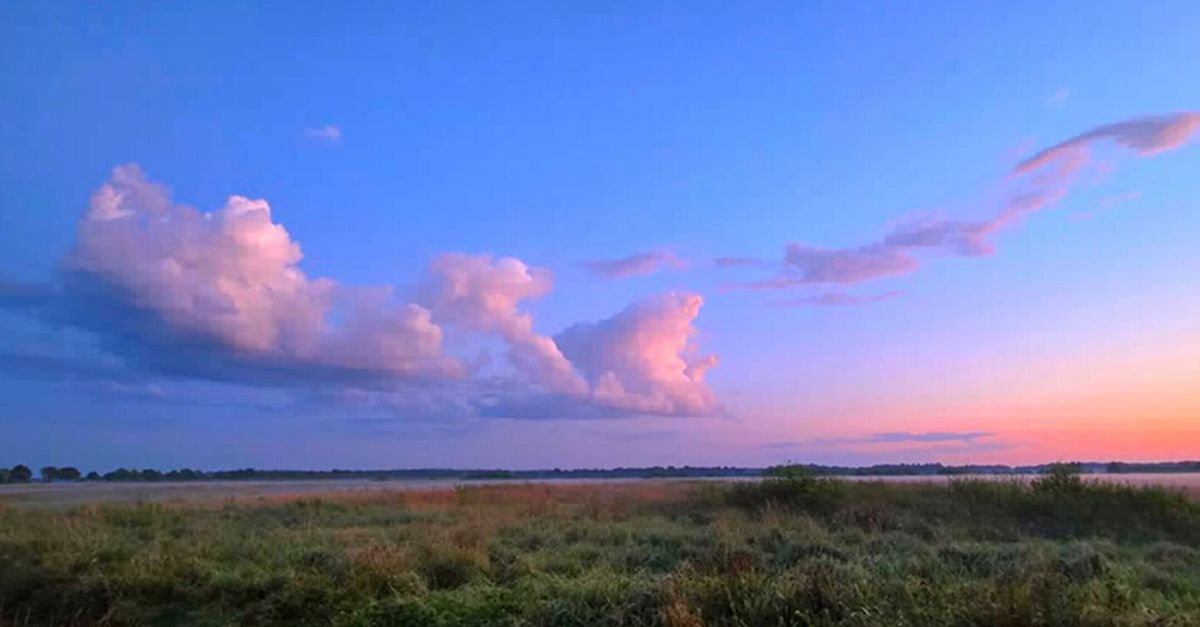 Op een roze wolk in Langelo - RTV Drenthe