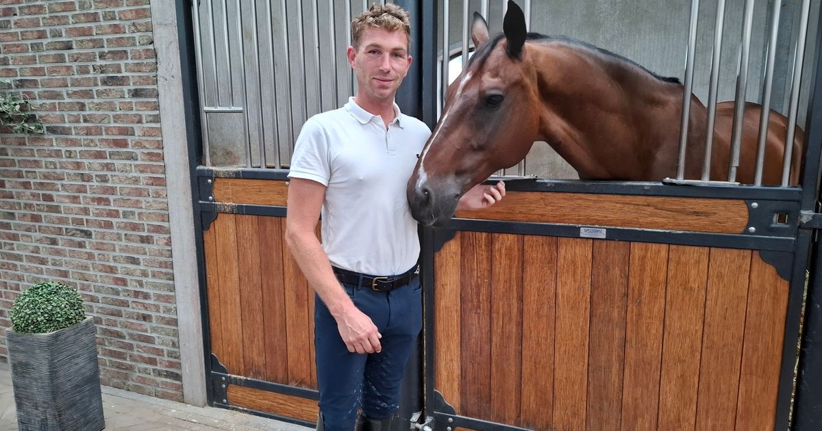 Trots van Schouwse dressuurstal grijpt net naast EK-ticket - Omroep Zeeland