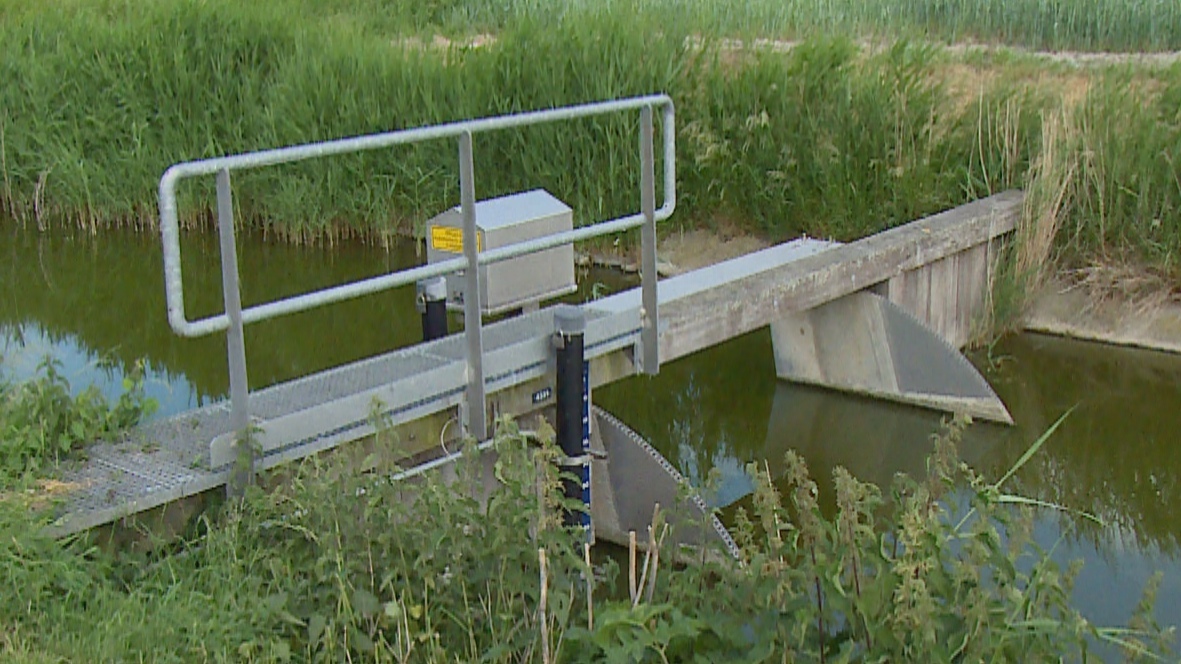 Willie Wortel krijgt de ruimte bij waterschap - Omroep Zeeland
