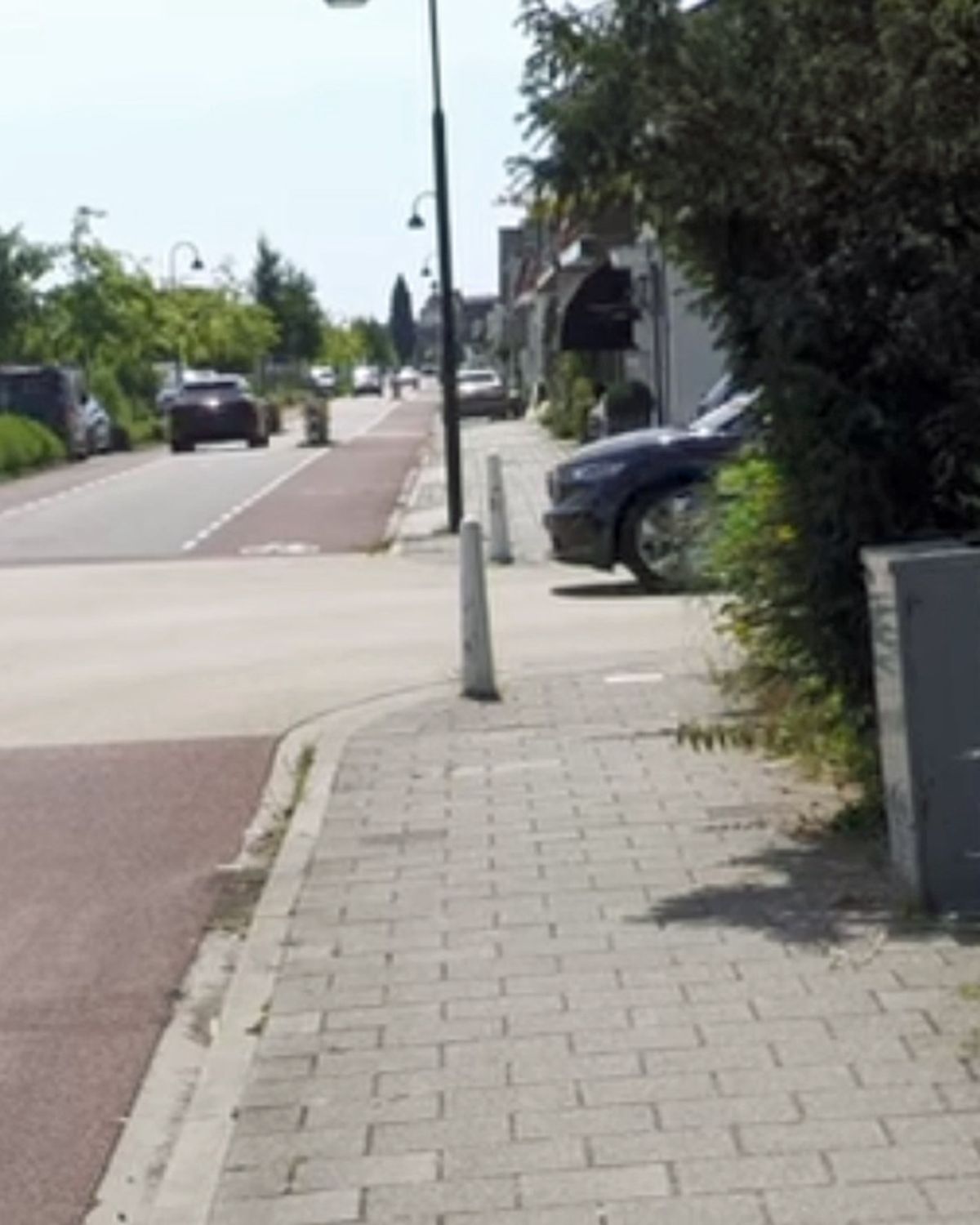 Kruispunt onoverzichtelijk door hoge haag, buurtbewoners willen actie: 'Steken veel kinderen ...