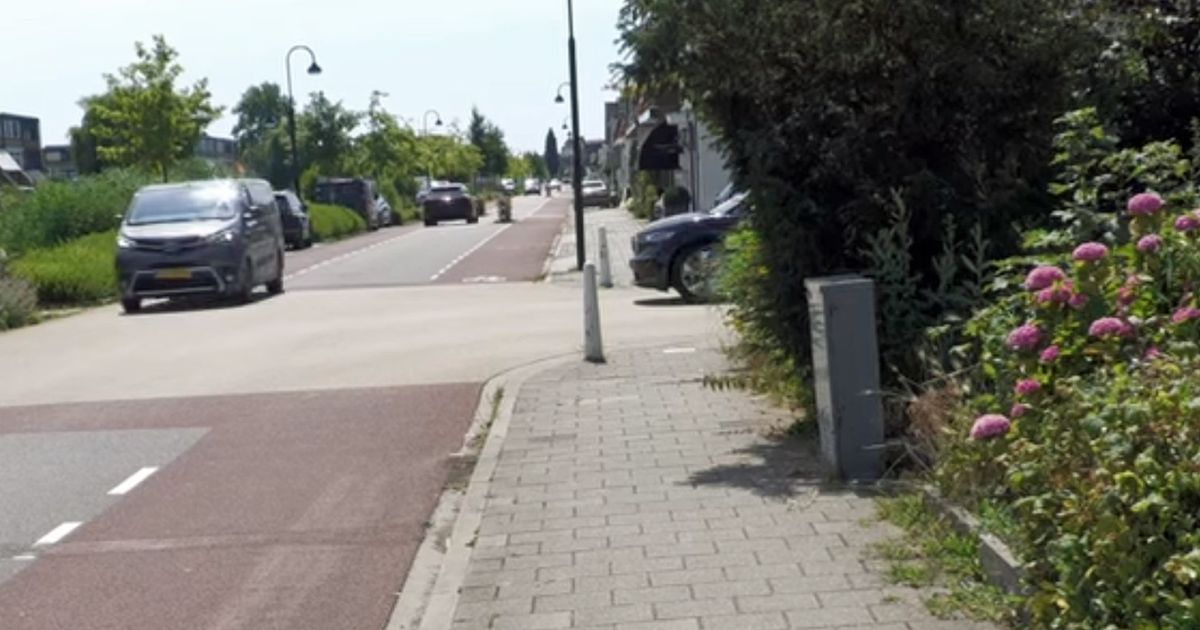 Kruispunt onoverzichtelijk door hoge haag, buurtbewoners willen actie: 'Steken veel kinderen ...
