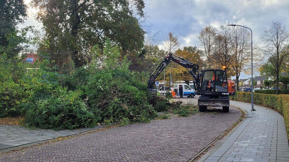 Code geel in Drenthe vanwege storm Ciarán: 'Opletten voor windstoten rond avondeten' - RTV Drenthe