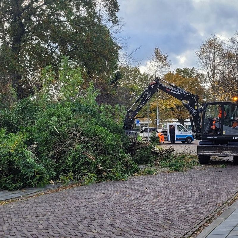 Code geel in Drenthe vanwege storm Ciarán: 'Opletten voor windstoten rond avondeten' - RTV Drenthe