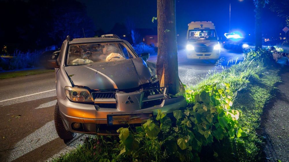 Automobiliste (35) botst op boom en wordt opgepakt - Omroep Gelderland
