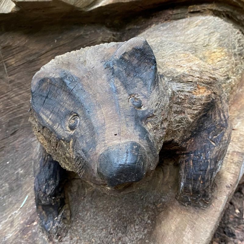 Bos vol houten beesten in Oudemirdum: kinderen leren in 'natuurlijke ...