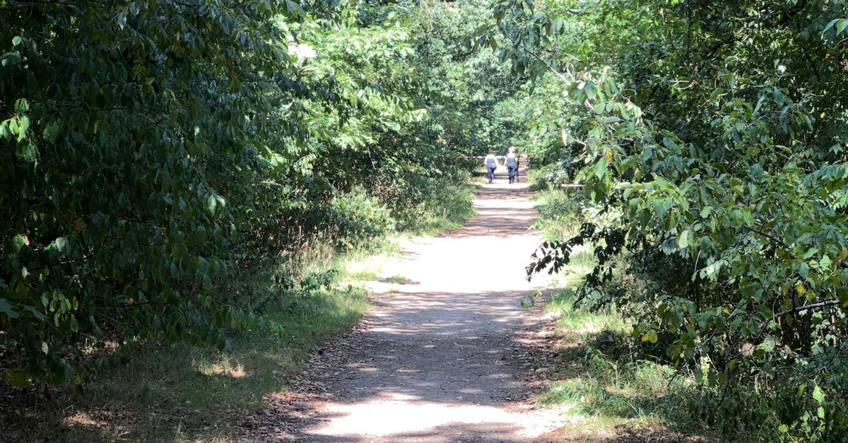 Wandelaars Zeist opgelucht na arrestatie zedenverdachte: 'Hele buurt ...