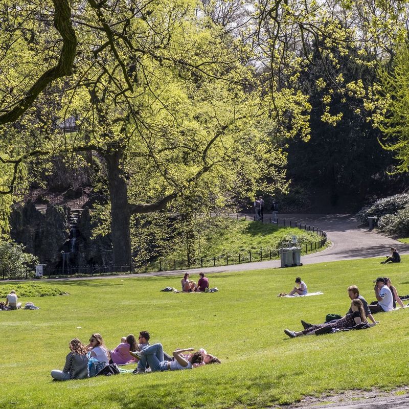 Zonnig weekend voor de boeg, tijd om te smeren - Omroep Gelderland