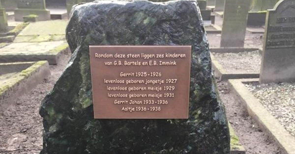 De zuster van mijn moeder: een tragische familiekroniek over 'al die ...