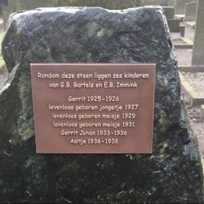 De zuster van mijn moeder: een tragische familiekroniek over 'al die ...