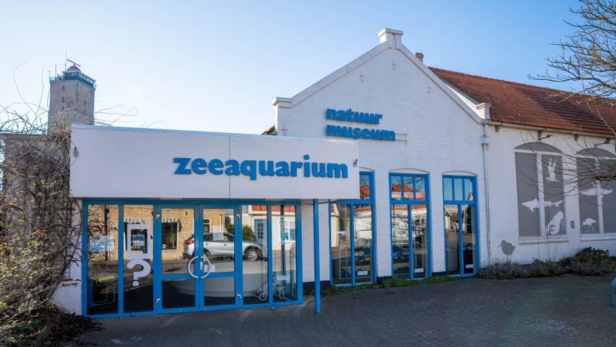 Collectie natuurmuseum en zeeaquarium Terschelling verhuist per 1 ...