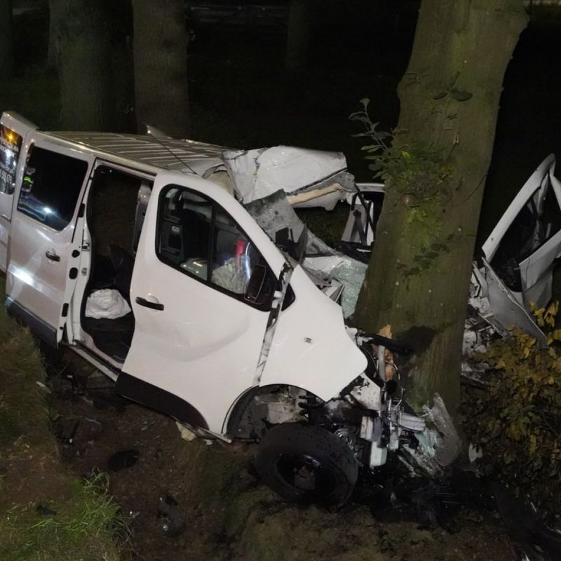 Twee doden en zwaargewonde bij ongeluk met busje - Omroep Gelderland