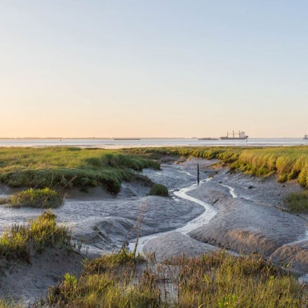 'Michelinster' voor Zeeuws landschap: Deltagebied is nu officieel van ...