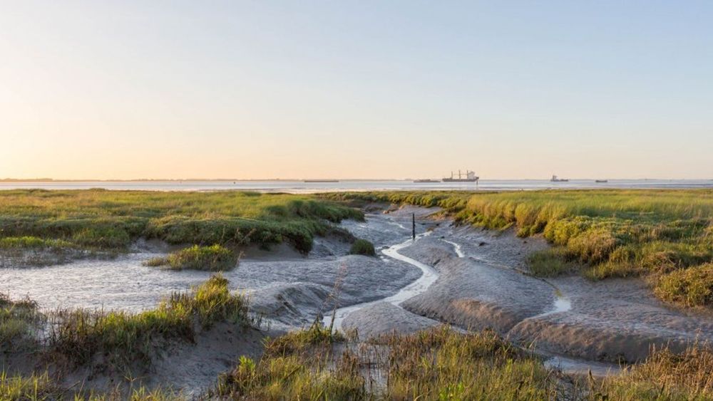 'Michelinster' voor Zeeuws landschap: Deltagebied is nu officieel van ...