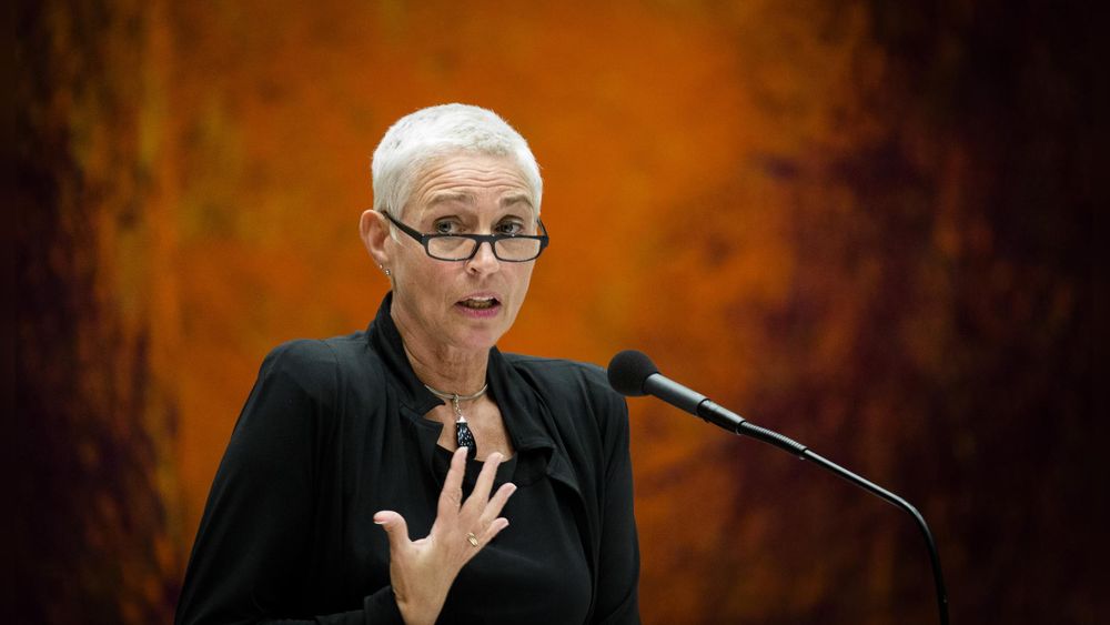 Wilma Mansveld waarnimmend boargemaster Tytsjerksteradiel - Omrop Fryslân