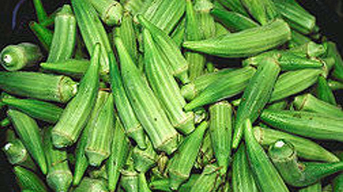 Wat is okra? - Rijnmond
