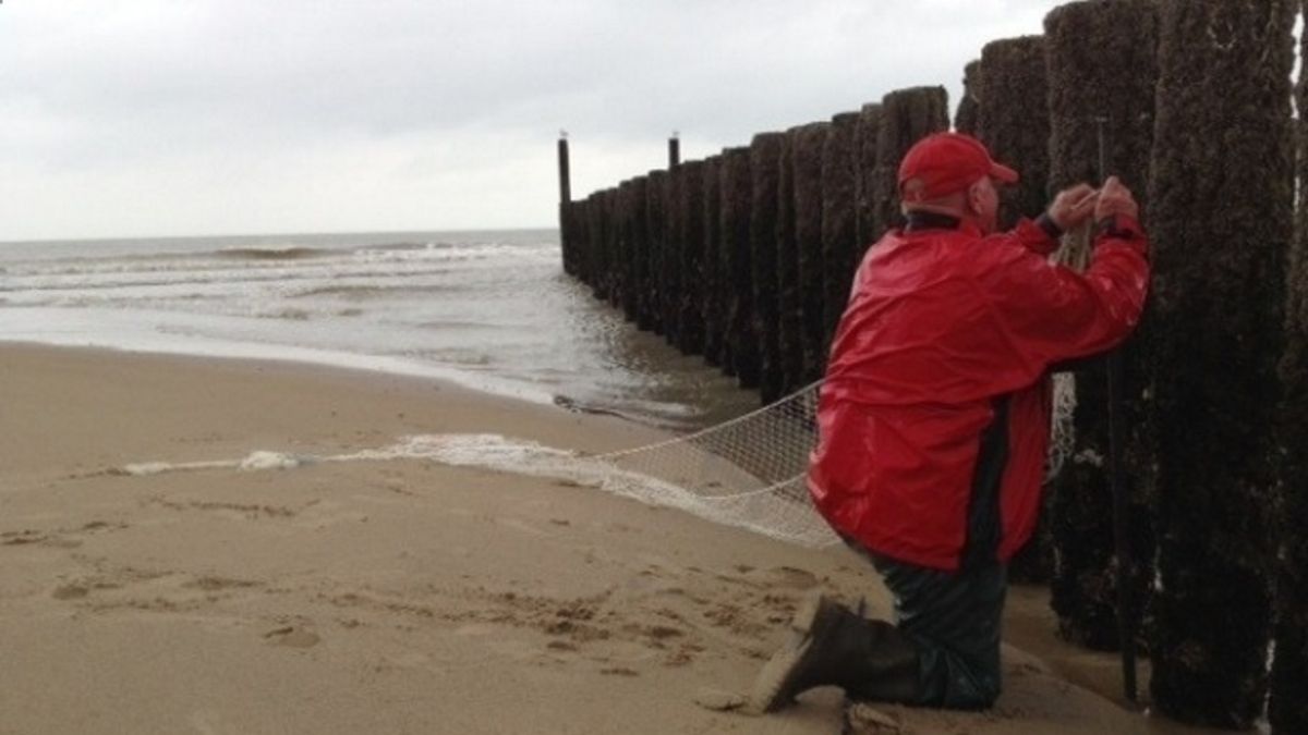 Vissen met fuiken weer tijdelijk toegestaan - Omroep Zeeland