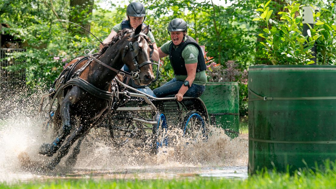In Beeld: paarden vliegen over parcours bij menwedstrijd Zuidwolde ...