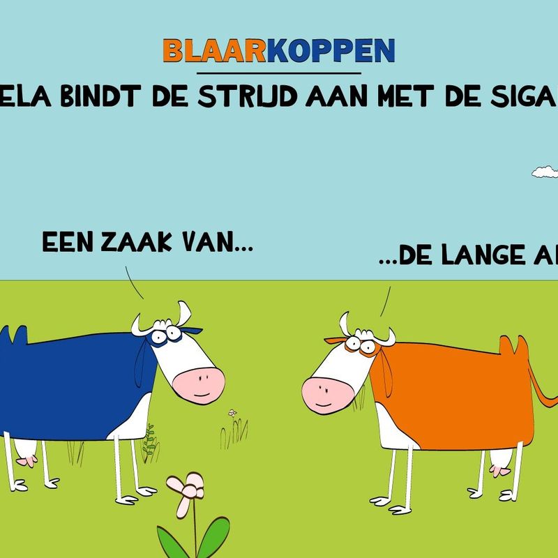 Blaarkoppen zien rooksignalen - RTV Noord