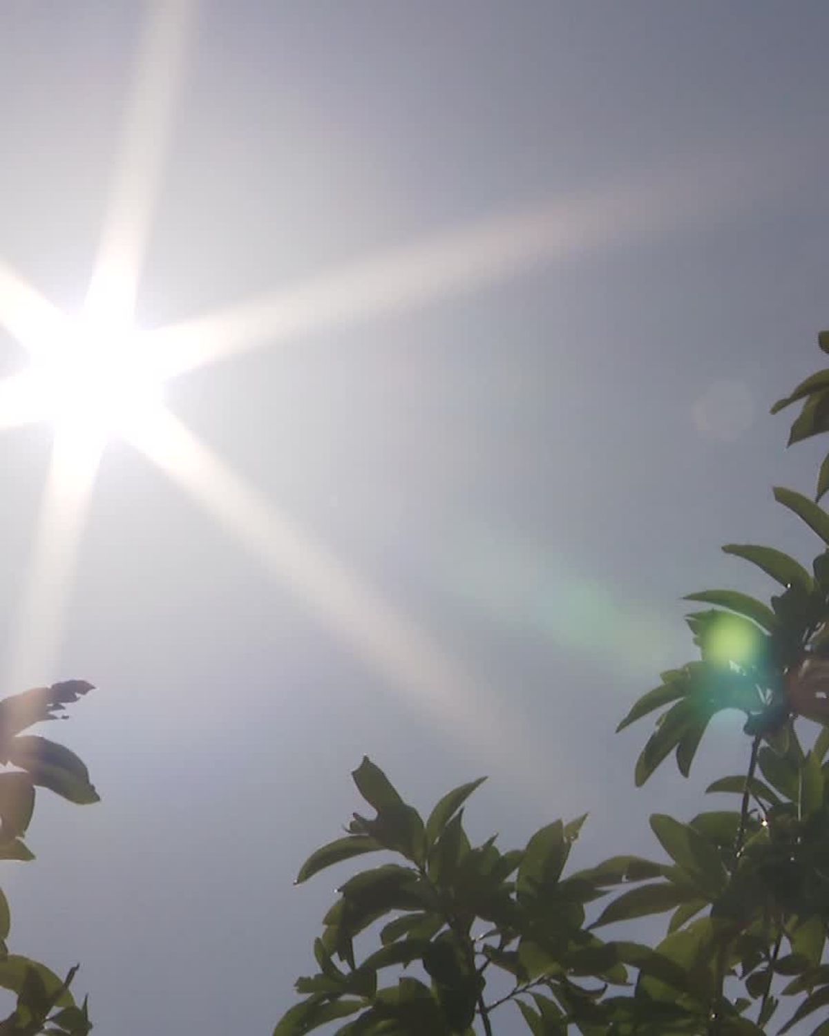 Zonneboot van leerlingen uit Coevorden geeft de geest tijdens spannende ...