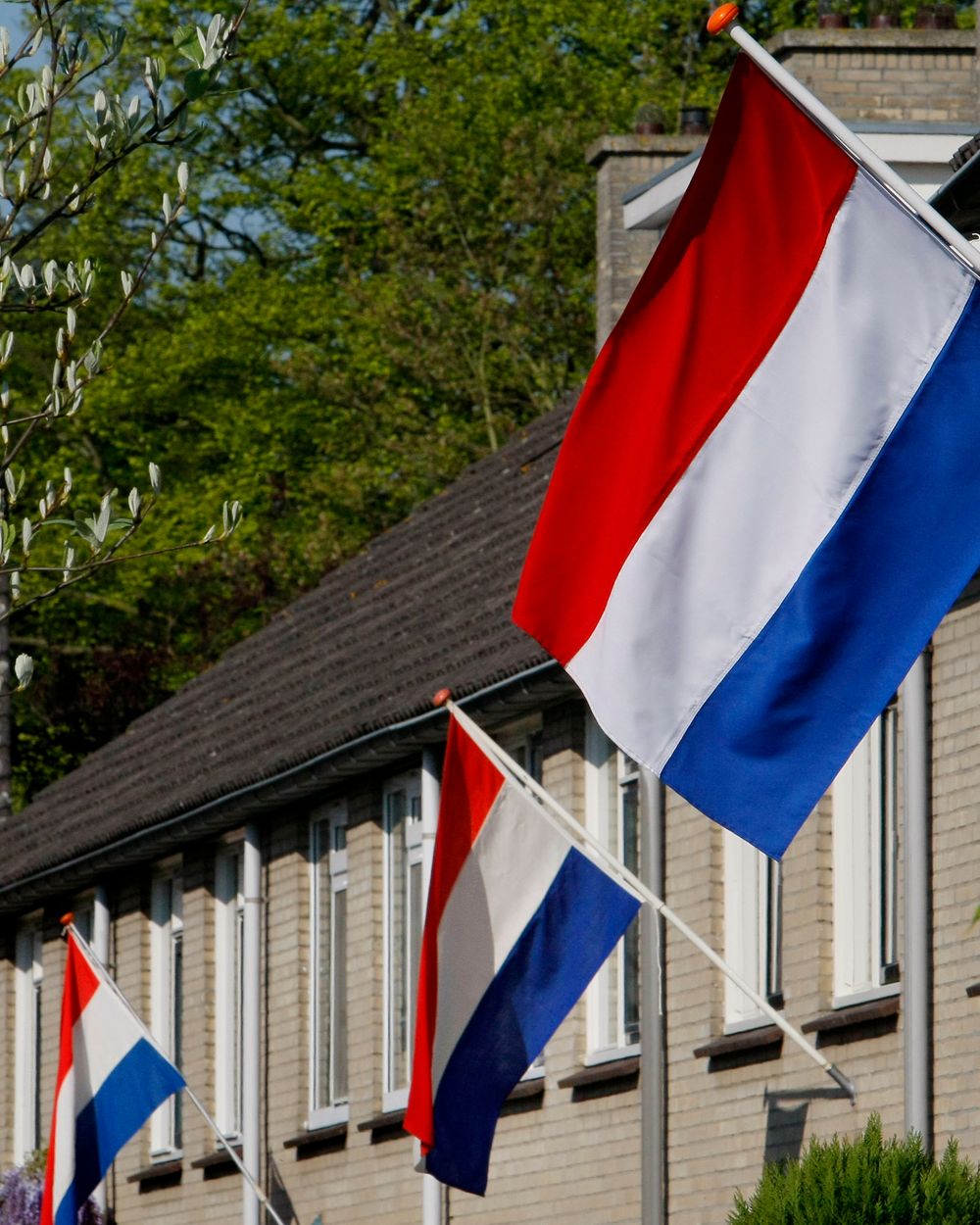 Hoe vlag ik? Vijf vragen over het uithangen van de vlag - RTV Drenthe