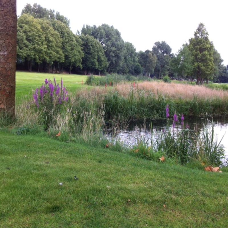 Golfbaan Kralingen in Chris Natuurlijk - Rijnmond