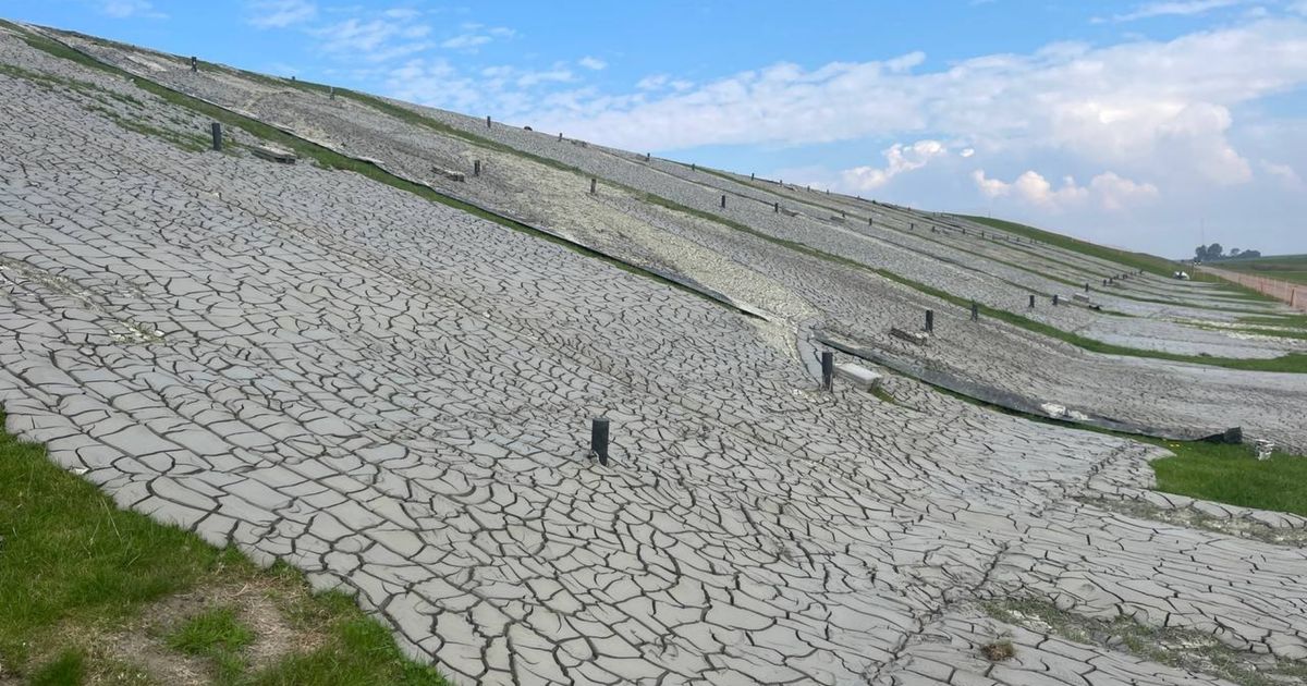 Wat doet opdrogend slib op de dijk met de graslaag eronder? - RTV Noord