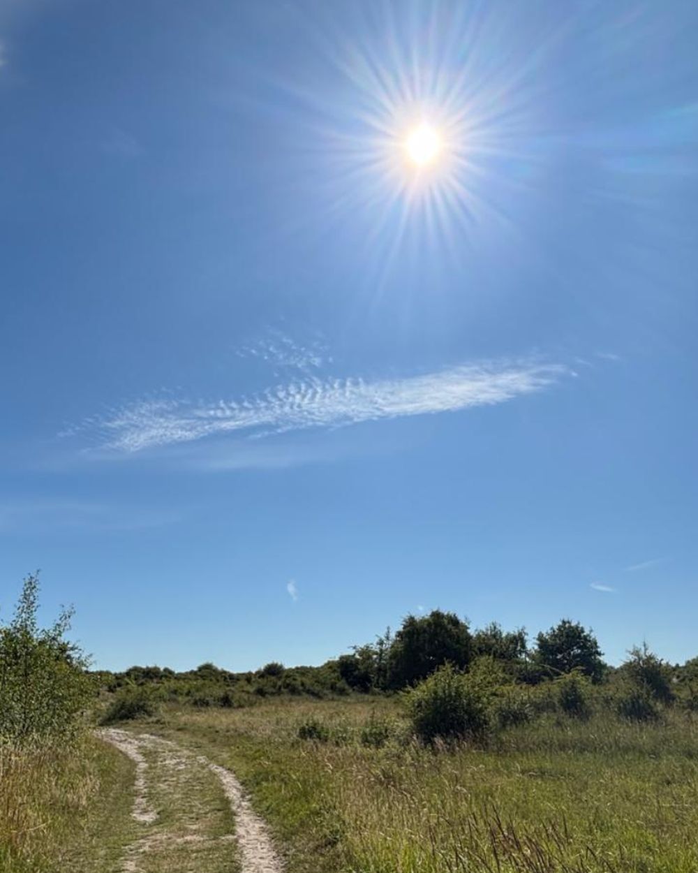 De zomer komt terug; dit weekend heerlijk zonnig met 25 graden - Rijnmond