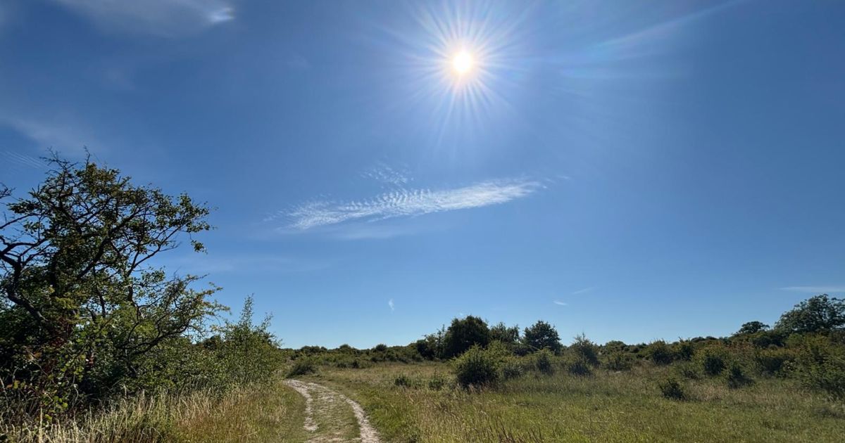 De zomer komt terug; dit weekend heerlijk zonnig met 25 graden - Rijnmond