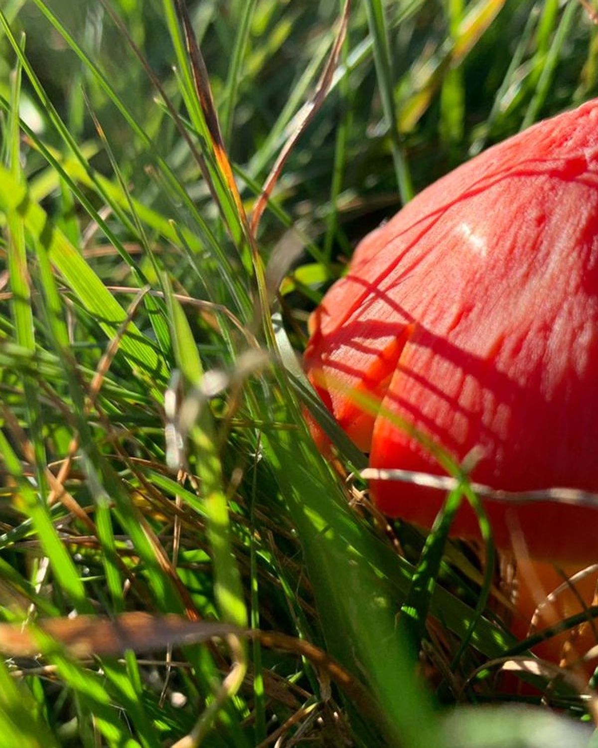 Zorgen om uniek natuurgebied bij aanleg van zware ...