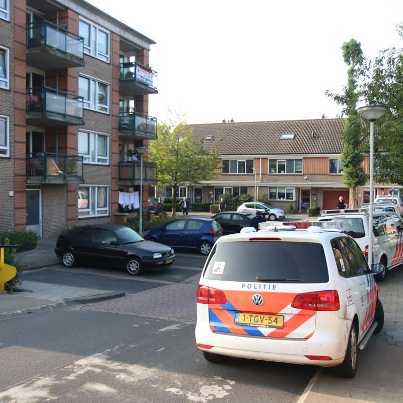 Vrouw schiet man neer in Rhoon Portland - Rijnmond