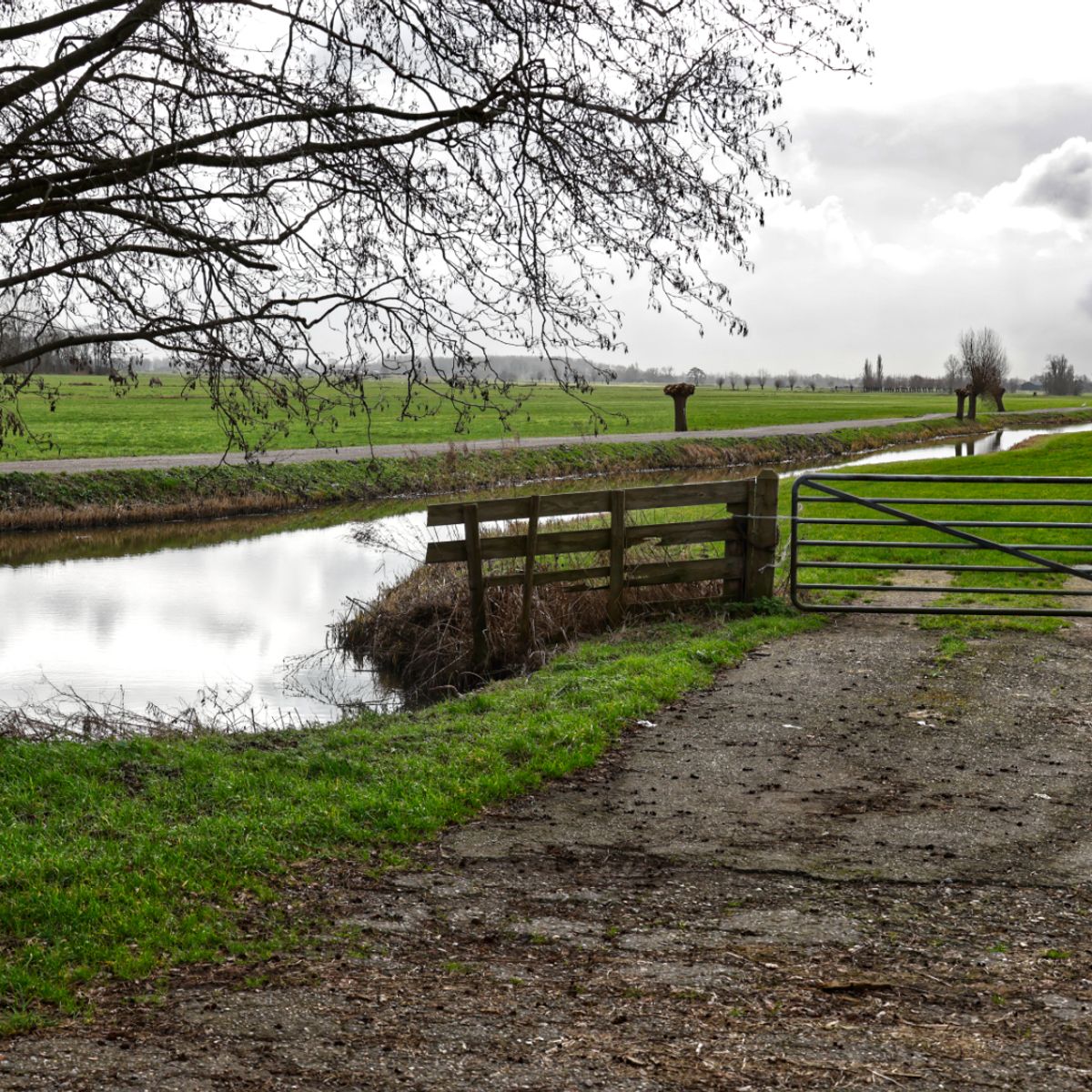 Flexwoningen in polder Rijnenburg moeten woningnood verlichten - RTV ...