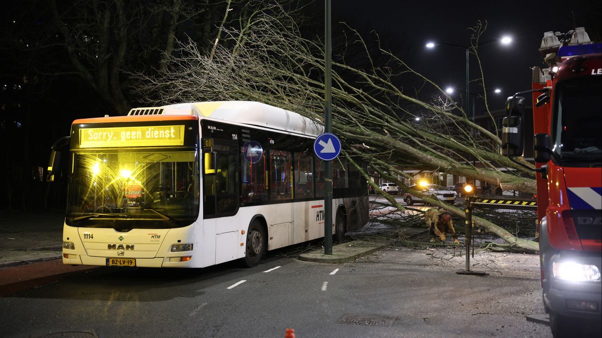 Boom op bus en weg uren dicht, zo raasde storm Henk door regio - Omroep ...