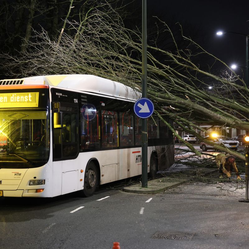 Boom op bus en weg uren dicht, zo raasde storm Henk door regio - Omroep ...