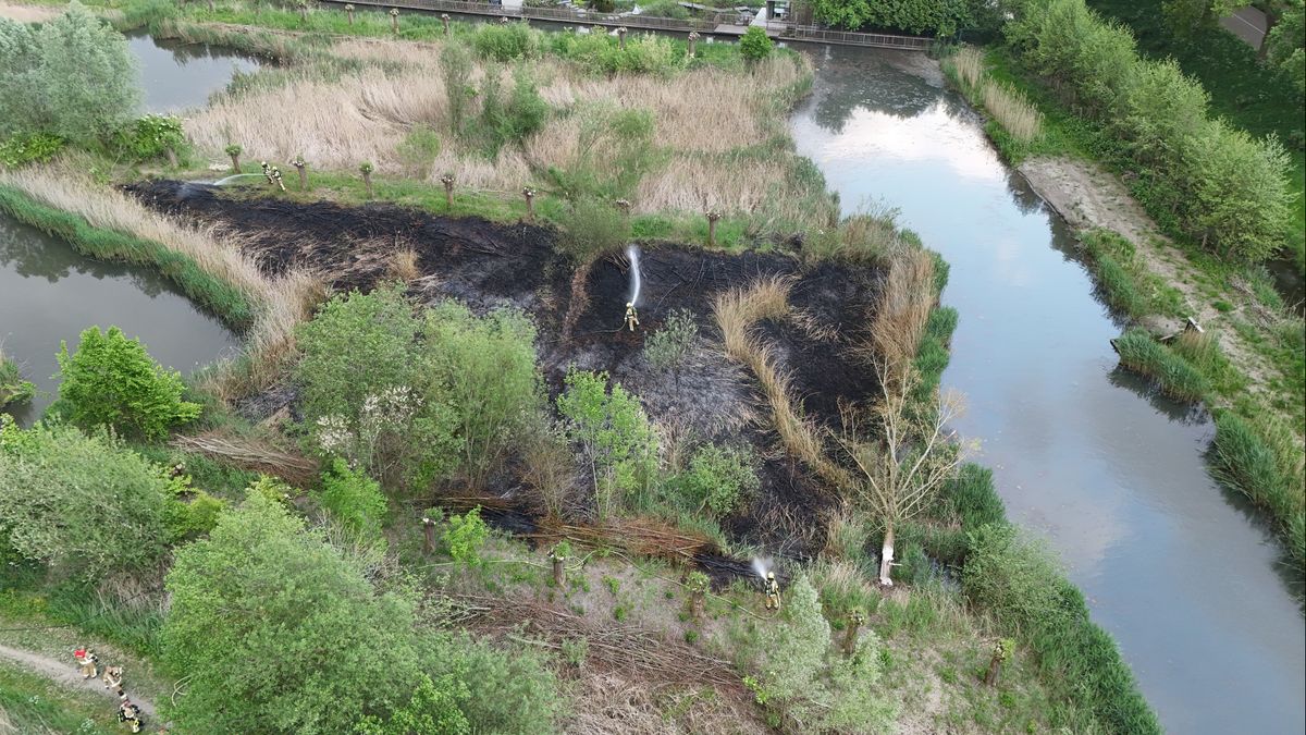 Brandweer rukt groots uit vanwege buitenbrand | Flinke schade nadat twee auto's op elkaar botsen ...