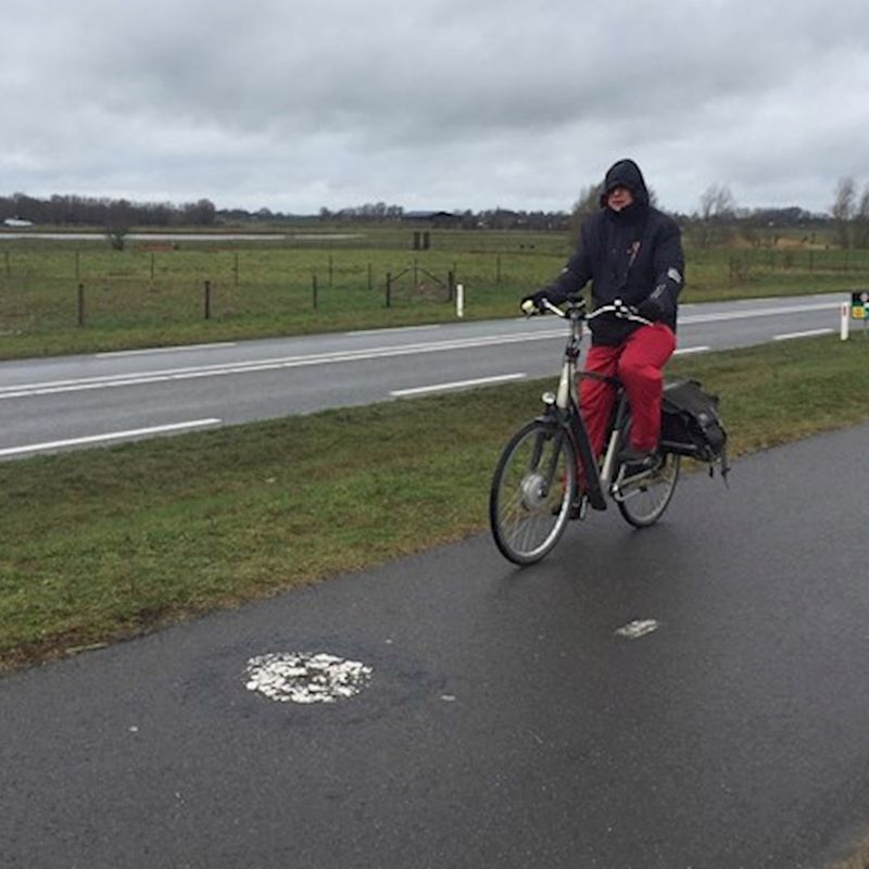 KNMI geeft code geel af wegens zware windstoten in Overijssel - Oost