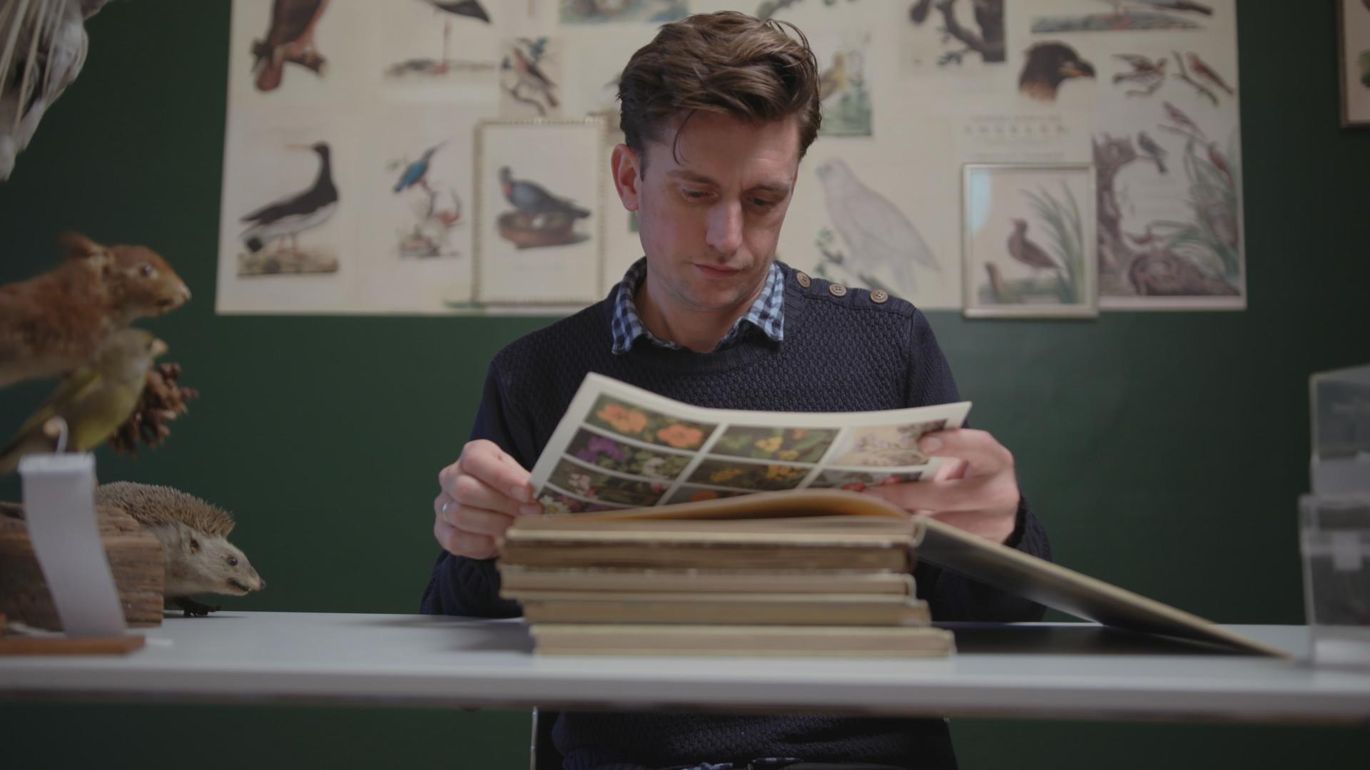 Rijnmond Doc - Rijnmond Doc: Het Vergeten Leven van Nederland ...